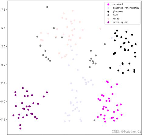Python基于轻量级卷积神经网络模型开发构建眼疾识别系统基于深度神经网络实现斜视眼的分类 Csdn博客