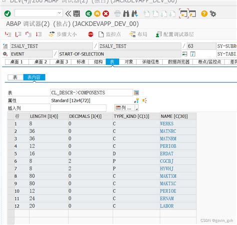 Abap 反射 测试从内表获取相关字段的类型abap 读取字段类型 Csdn博客