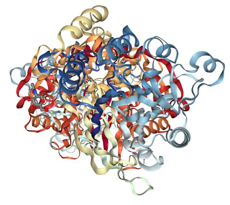 Cd73 General Information Sino Biological