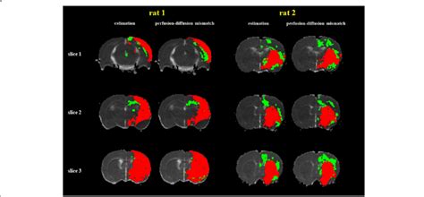 Demonstration Of A Predicted Mismatch For 2 Rats The Conventional Download Scientific Diagram