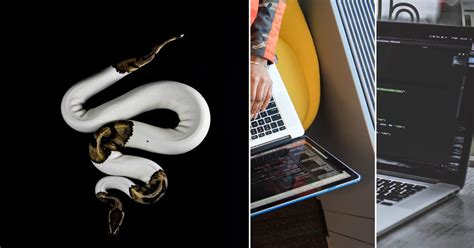 List Pyenv Curated By Svitlana Medium