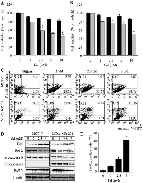 Figure 1 From Salinomycin Induces Reactive Oxygen Species And Apoptosis
