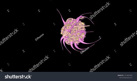 Immune Cell Tcell Immune System Concept Stock Illustration Shutterstock