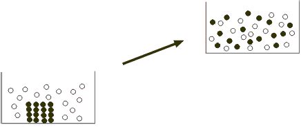 Diagram Of Dissolving Quizlet