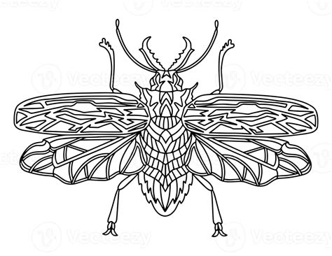 Bug Linear Illustration Png 20481521 Png