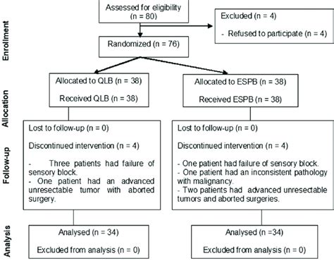 Flow Chart Depicting Trial Phases Download Scientific Diagram