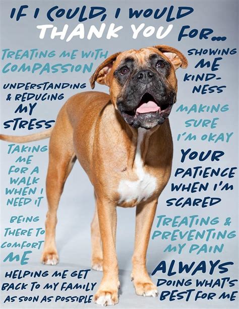 Ahsia A Posted On Linkedin