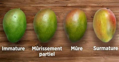 Comment Conserver Le Pain Plus Longtemps