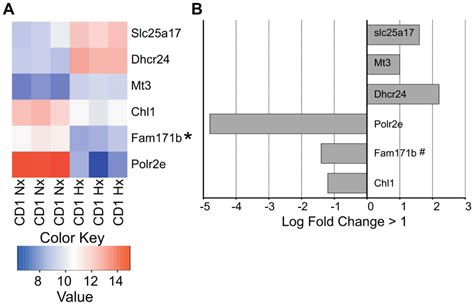 A Heat Map Illustrating The Triplicate Differentially Expressed MRNA