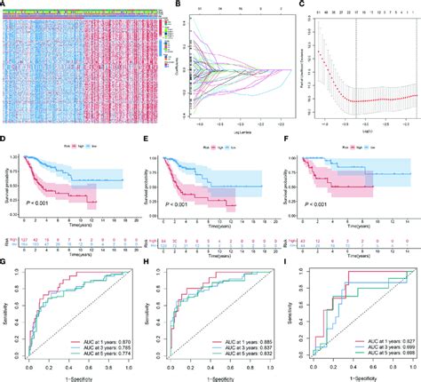 Construction And Validation Of Icss Prognostic Model In The Tcga
