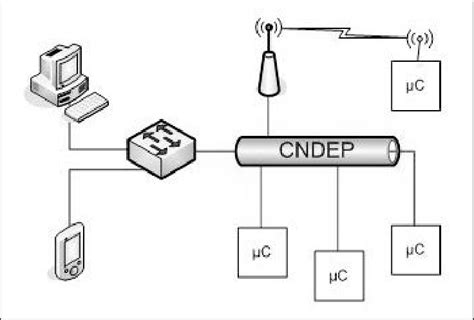 Experimental Network Download Scientific Diagram