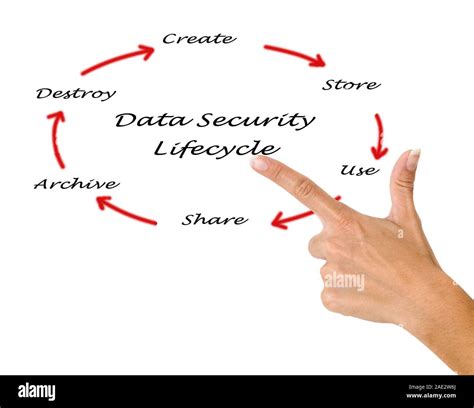 Database Development Lifecycle Stock Photo Alamy