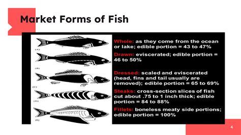 The Classification And Market Forms Of Fish Pptx