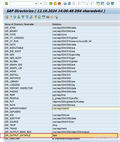 sap 项目 s 4 银企直连 sap 自动付款实施 知乎