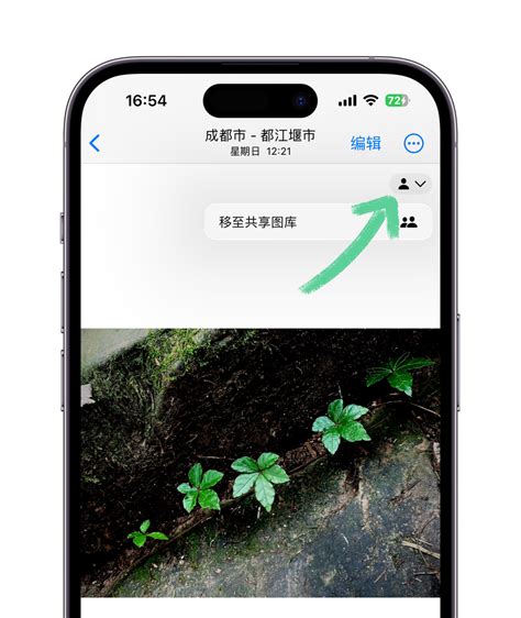 【icloud 共享图库】相册宝典续集来啦！ 哔哩哔哩