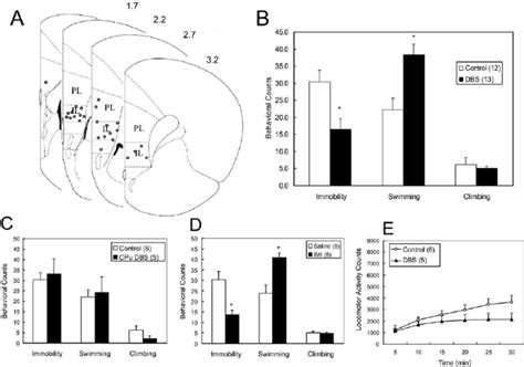 Outcome Of Ventral Medial Prefrontal Cortex Vmpfc Deep Brain