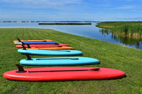Colorful Surf Boards Laying On Green Grass Stock Image Image Of River