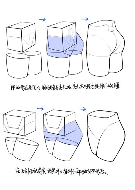 如何画出好看的臀部 小红书 花瓣网
