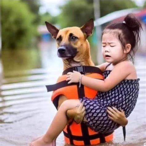 Caleb H Mattingly Cissp On Linkedin When A Developer Patches A Vulnerability That The