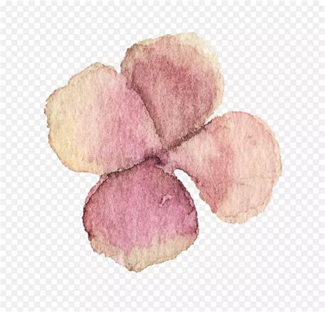 手绘水彩花朵四叶草png图片素材下载图片编号yxvvbgey 免抠素材网