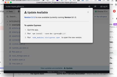 Cypress Update Instructions Given Say To Update With Npm Even If You