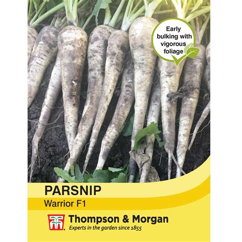 Parsnip Warrior F1 Hybrid — Newlands Garden Centre