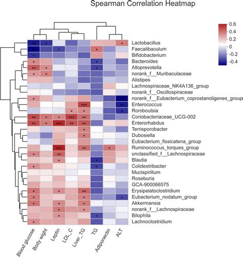 Predicting Metabolic Function Genes Based On PICRUSt2 Analysis A Download Scientific Diagram