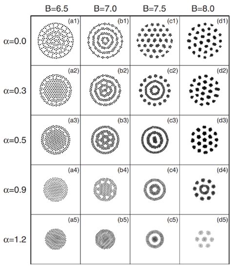 Equilibrium Configurations Observed In The Two Dimensional Space