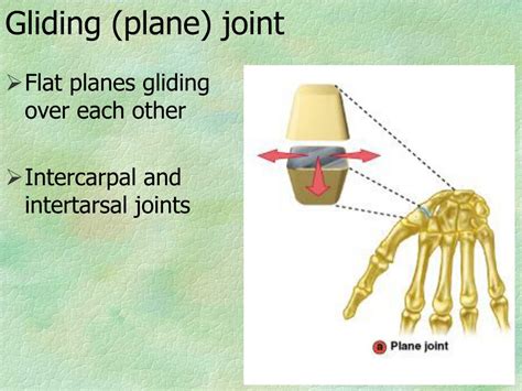 Ppt Lab 5 Powerpoint Presentation Free Download Id5234365