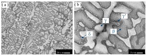 Materials Free Full Text The Microstructure Solidification Path