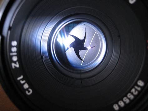 با شاتر دوربین و معنای آن بیشتر آشنا شوید مهرانی کم