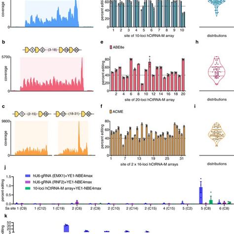 Dap Strategy Enables Large Scale Mbe With Minimal Off Target Effect Ac Download Scientific