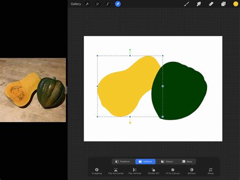 How To Draw Squash Step By Step Procreate Tutorial
