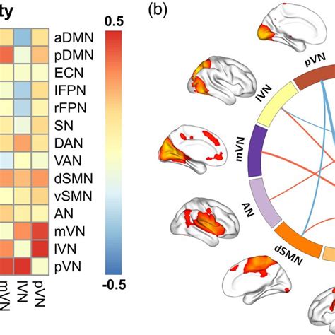 Flowchart Of The Study Design Fc Functional Connectivity Fmri