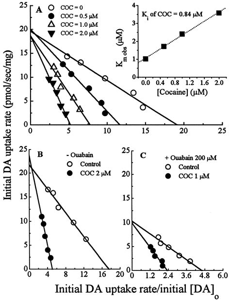 Mixed Inhibition Michaelis Menten