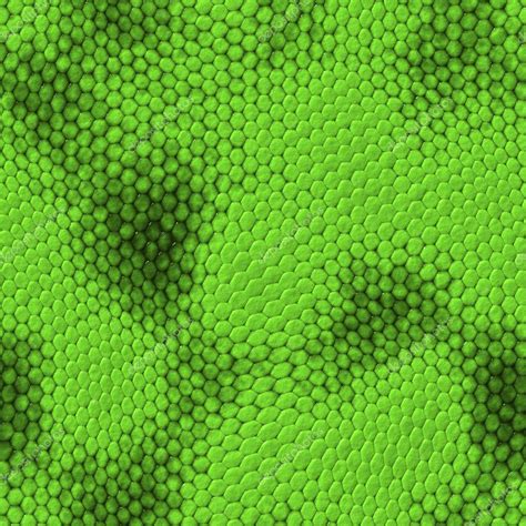 Seamless Snake Texture Stock Photo By Galdzer