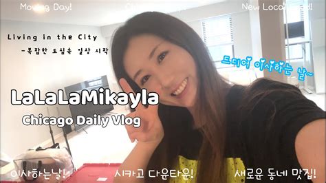 시카고 브이로그 이사하는날 시티라이프 시작 레트로 스타일 다이너 Eleven City Diner트레이더조 구경버킹엄 분수 산책넘나 예쁜 시카고💙 Youtube