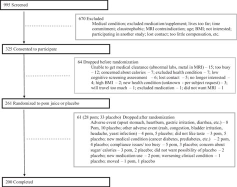 Flow Diagram Of Participants Pom Pomegranate Download Scientific