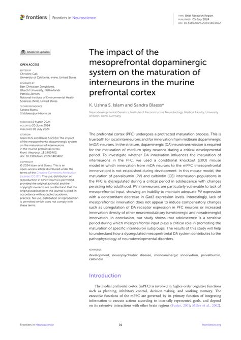 Pdf The Impact Of The Mesoprefrontal Dopaminergic System On The