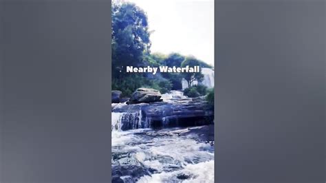 Nanthavanam Farm Resort Kanthaloor Kerala Homely Food Campfire 🔥