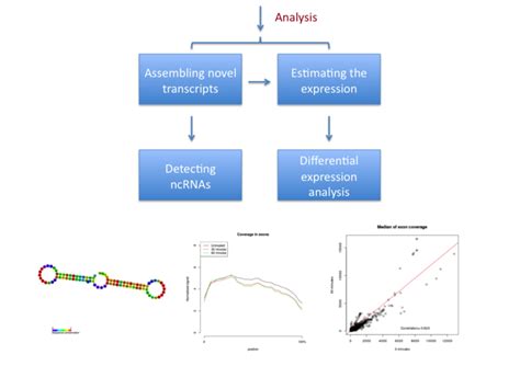 Rna Seq Flowchart Bioinformatics Core Wiki