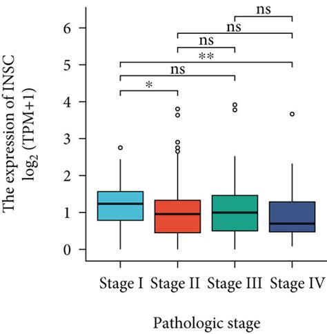 Association Between Insc Expression And Clinicopathologic Variables ∗p