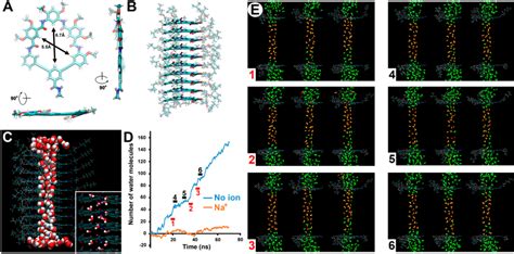 Molecular Dynamics Simulations Of Water Transport Through Hybrid Download Scientific Diagram