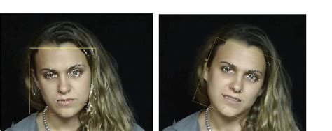 Klt Tracker In Action Download Scientific Diagram