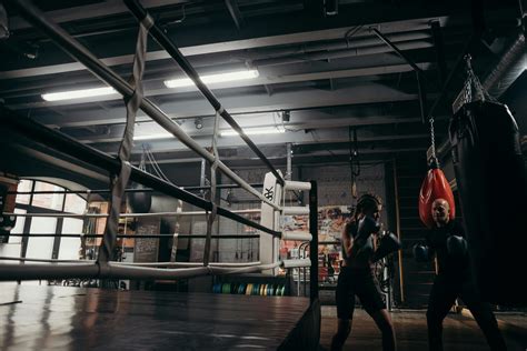 Mma 가라테 공격적인 처분 권투 권투 선수 근육 남자 녹아웃 땀 레슬링 마우스 가드 무술 발차기 붕대 사람 소녀 전투기 손 되감기 쉐도우