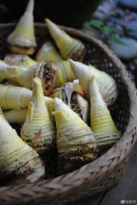 祁子 的个人主页 微博 花瓣网