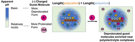 Effect Of Polypeptide Complex Coacervate Microenvironment On