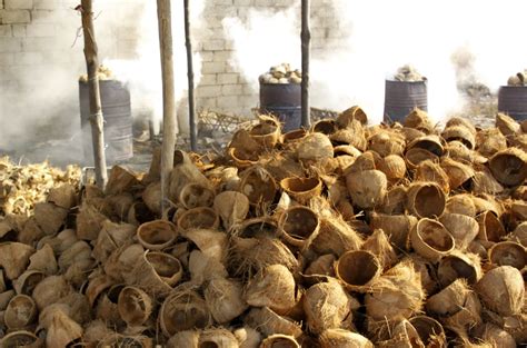 Cara Membuat Arang Batok Kelapa Simpel Dan Mudah