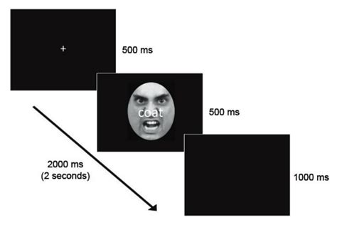 Example Of Single Trial In Affective Interference Task Task 2