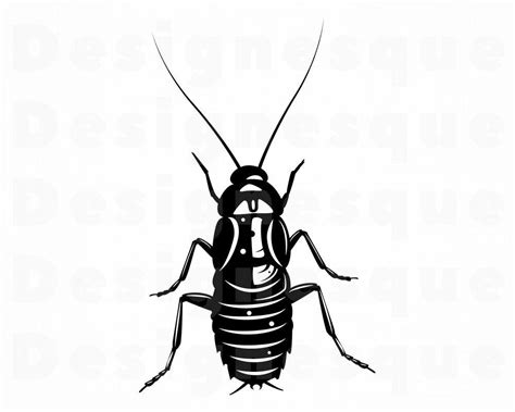 Cockroach Svg Cockroach Clipart Cockroach Files For Cricut Cockroach